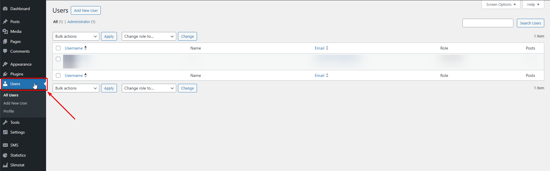 How to Provide Admin Access to the SlimStat Support Team | Slimstat Analytics