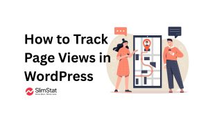 How to Track Page Views in WordPress | Slimstat Analytics